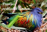 Aviornis International Nederland: Aviornis.nl